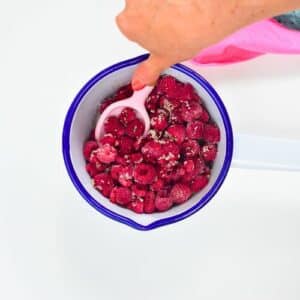 Baby Jam (Raspberry, Chia Seeds, No Sugar) - The Conscious Plant Kitchen