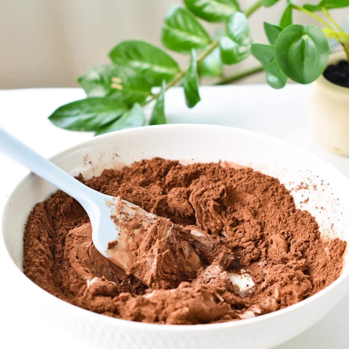 Healthy Brownies (4 Ingredients, No Eggs, No Dairy) - The Conscious ...