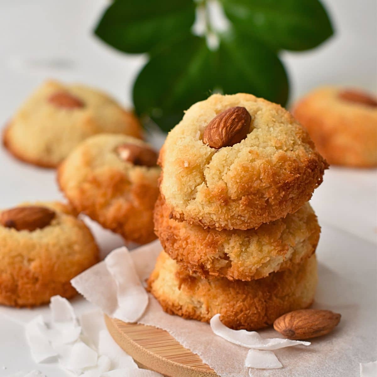 3 Ingredient Almond Flour Cookies The Conscious Plant Kitchen