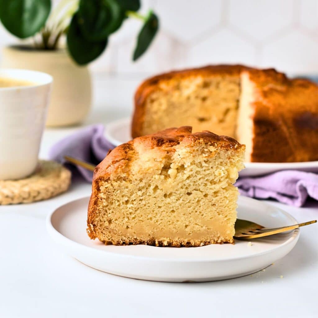 Water Cake (5 Ingredients, No Eggs, No Dairy) - The Conscious Plant Kitchen