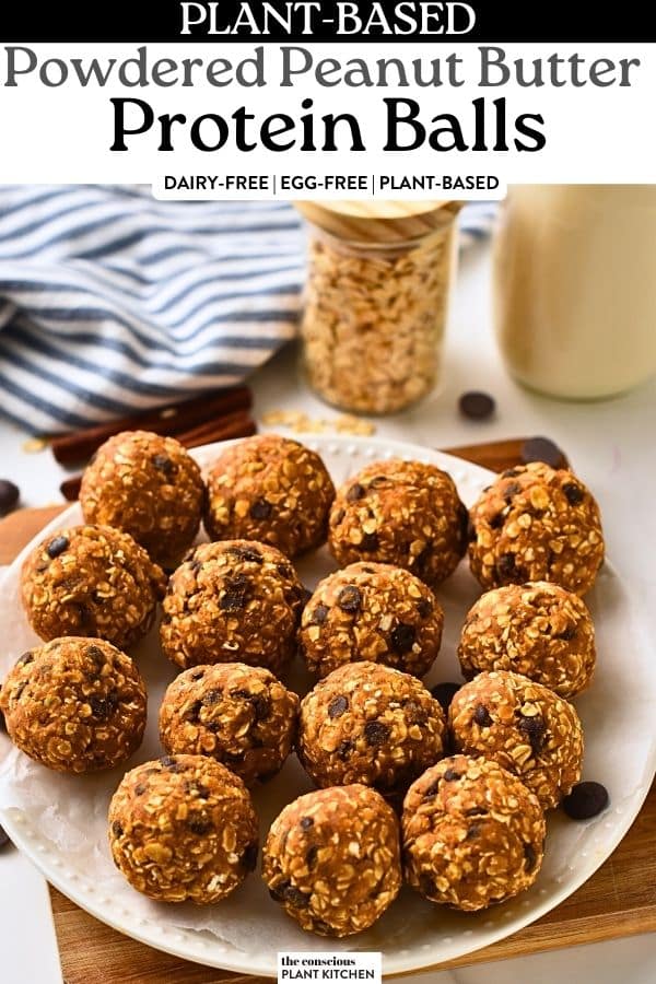 Powdered Peanut Butter Protein Balls (6g Protein, 85 Calories, Low-Fat ...