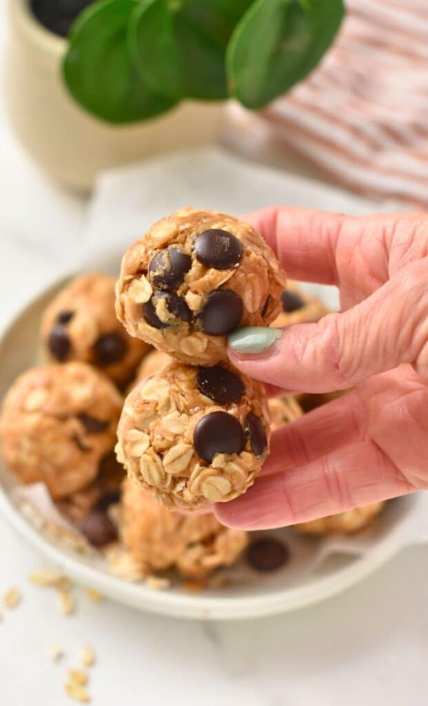 Peanut Butter Energy Balls (3 Ingredients) - The Conscious Plant Kitchen