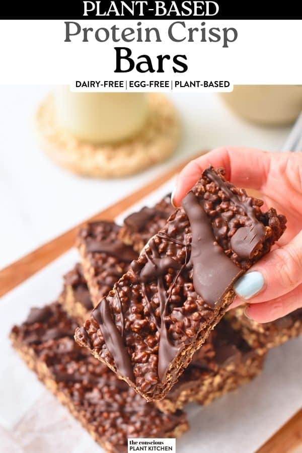 Protein Crisp Bars (4 Ingredients, 14g Protein) - The Conscious Plant ...