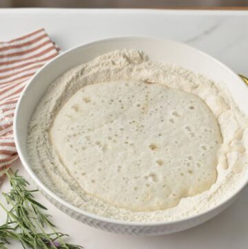 Water Cake (5 Ingredients, No Eggs, No Dairy) - The Conscious Plant Kitchen