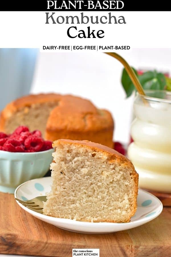 Kombucha Cake (4 Ingredients) - The Conscious Plant Kitchen